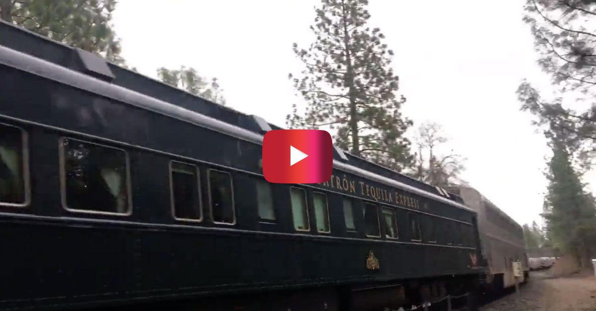 This Patrón Tequila Train Car Has Quite the Amazing History Behind It ...