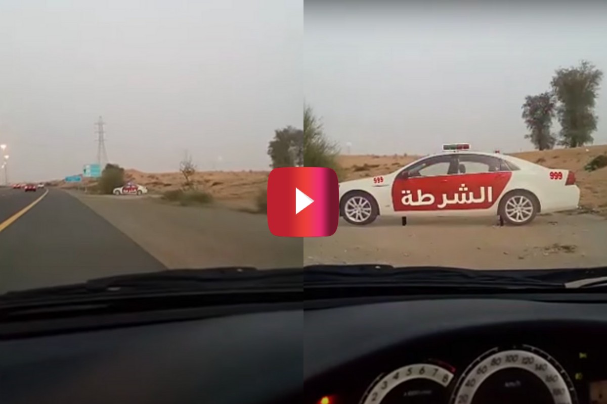 Cop Car Cutout Makes for Hilarious Speed Trap - alt_driver